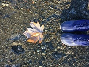 Experiencing Canada's sacred forest at Capilano, Vancouver