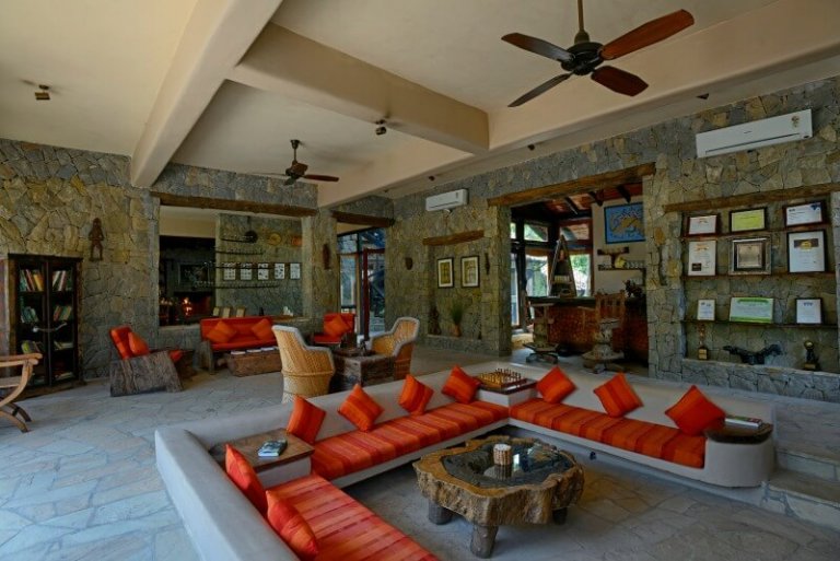 Guide to Kanha National Park & Tiger Reserve - Breathedreamgo