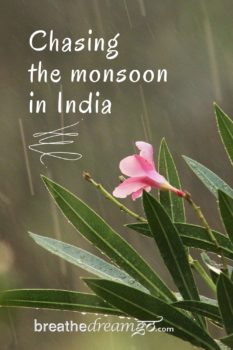 Chasing the Indian monsoon