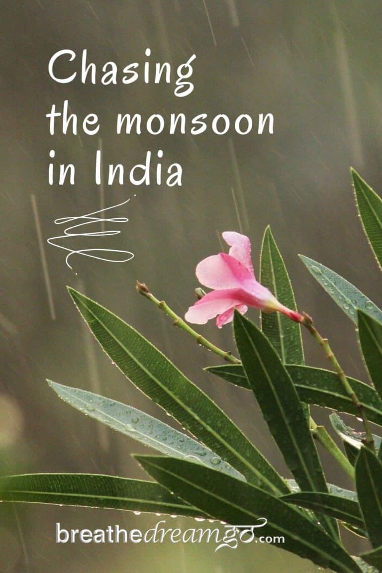 Chasing the Indian monsoon