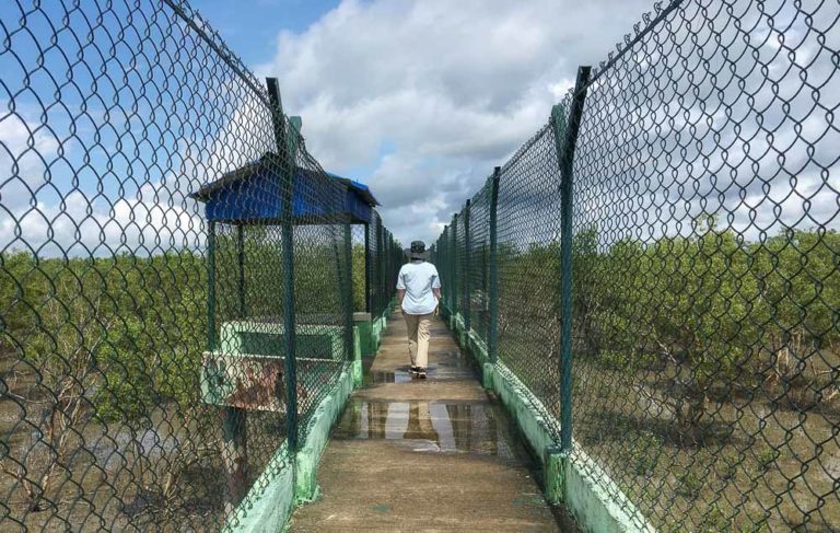 Guide to the amazing Sunderbans of India - Breathedreamgo