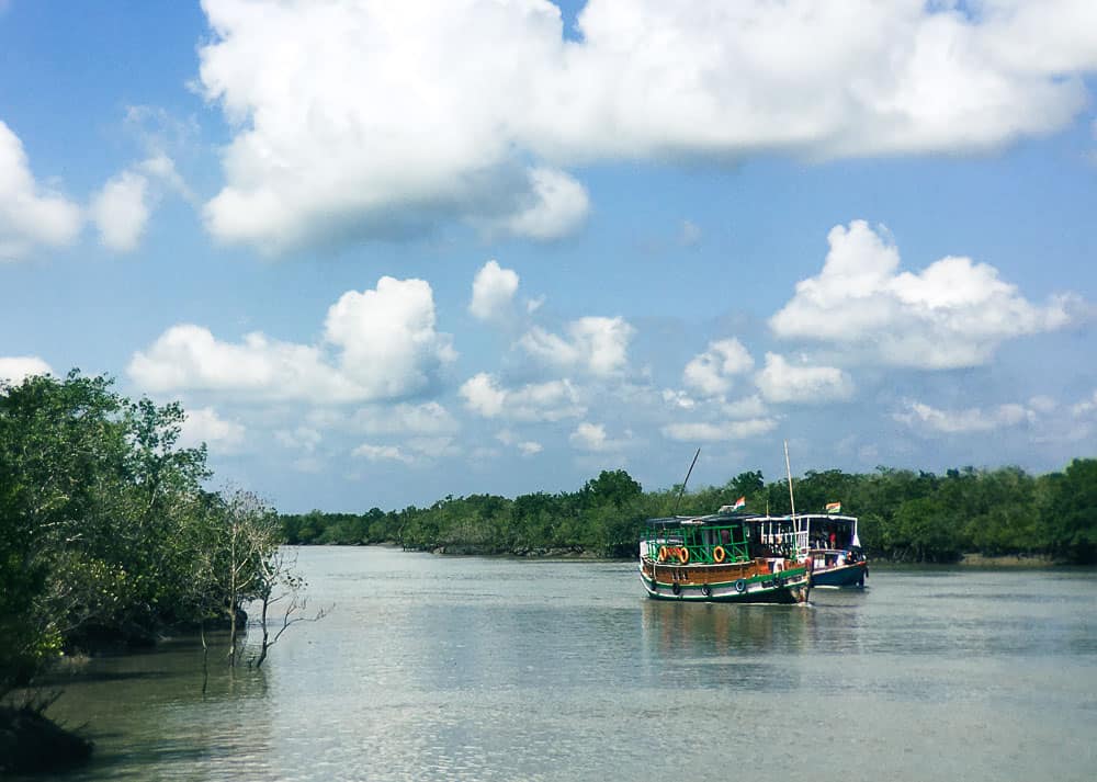 Guide to the amazing Sunderbans of India - Breathedreamgo