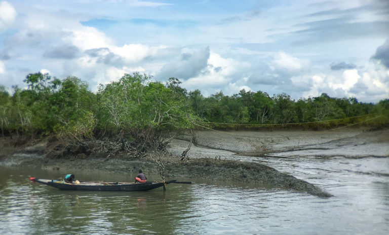 Guide to the amazing Sunderbans of India - Breathedreamgo
